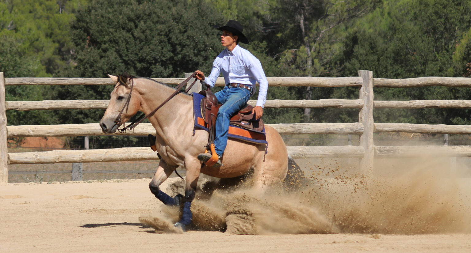 Reining – Federación Navarra de Hípica